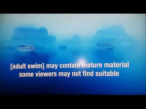 Adult Swim - Wednesday's 2nd Summer Disclaimer (June 2020) - YouTube