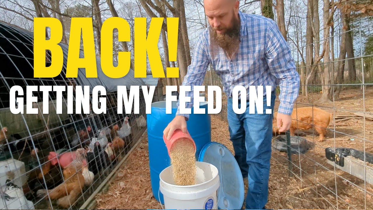 You have to be fast! - YouTube