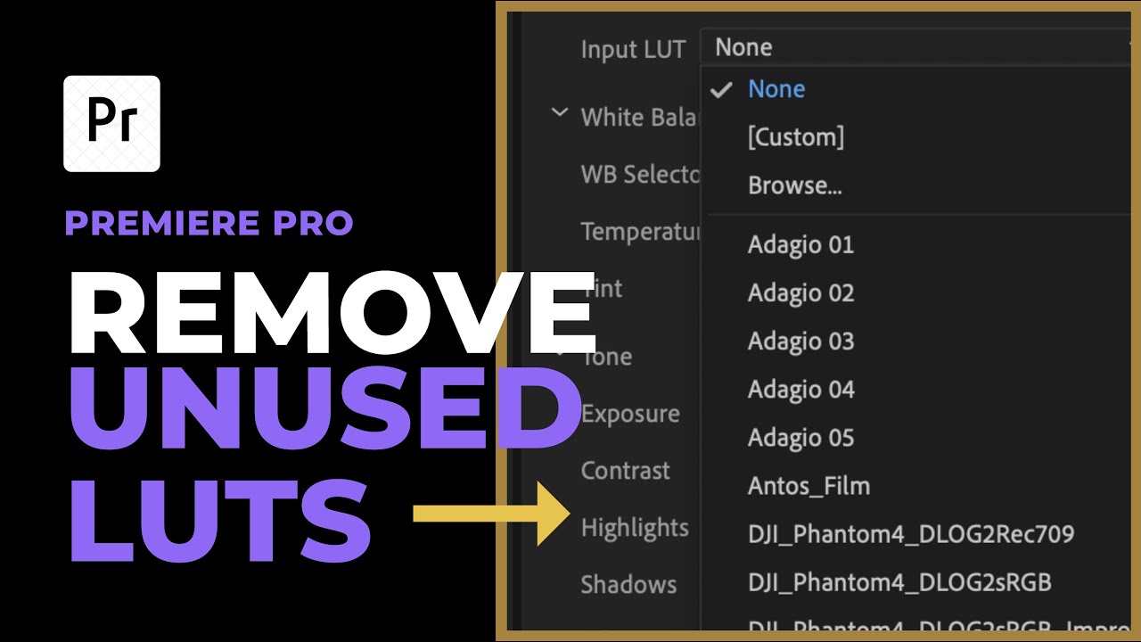 Remove Unused Default LUTS in Premiere Pro! - YouTube