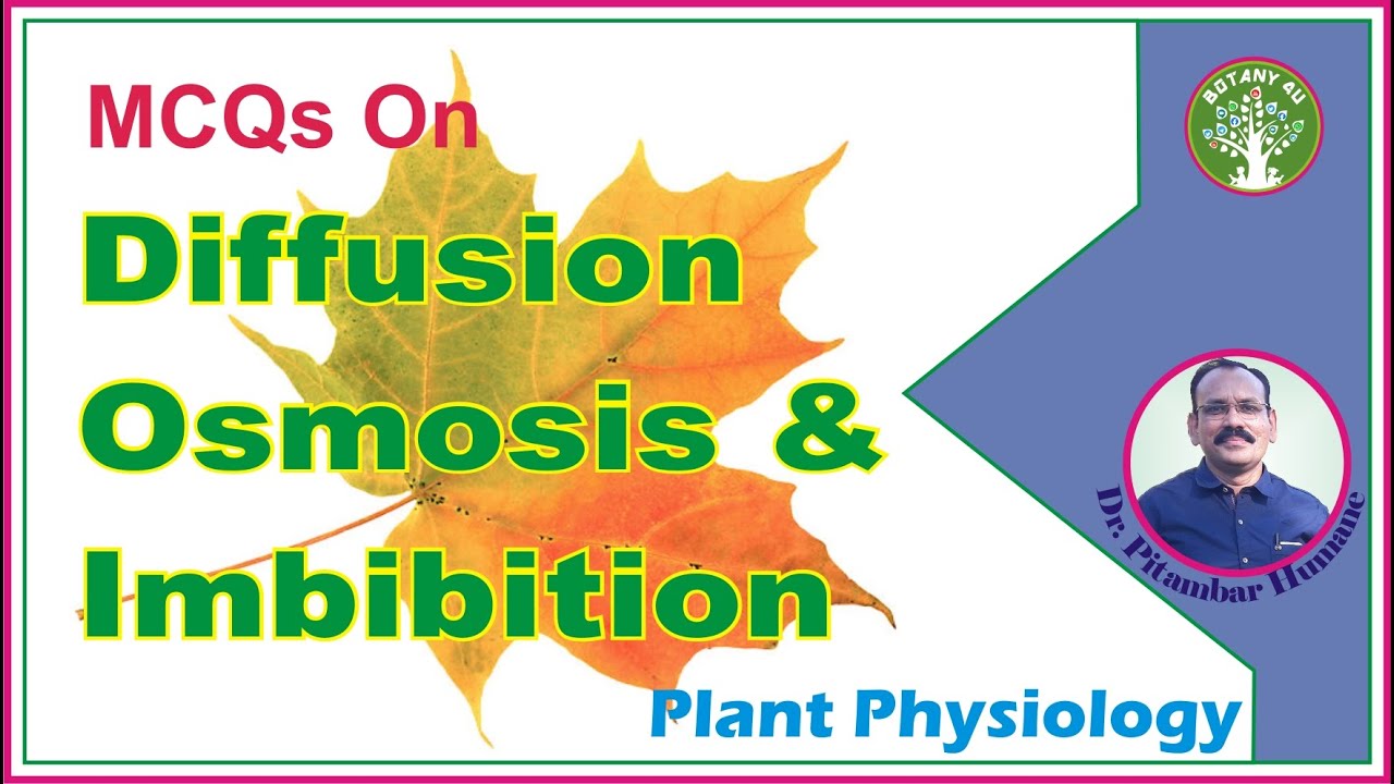 BOTANY 4U | PLANT PHYSIOLOGY | PITAMBAR HUMANE | MCQs on Diffusion ...