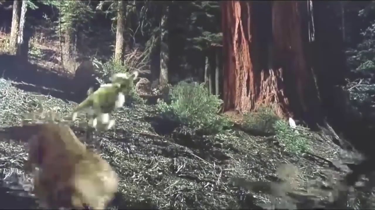 Hulk Dogs Fight Scene_HD - YouTube