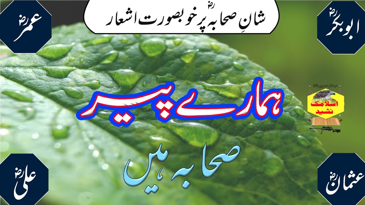 Hamary peer sahaba han | Shan e Sahaba | Heart touching kalam | Best ...