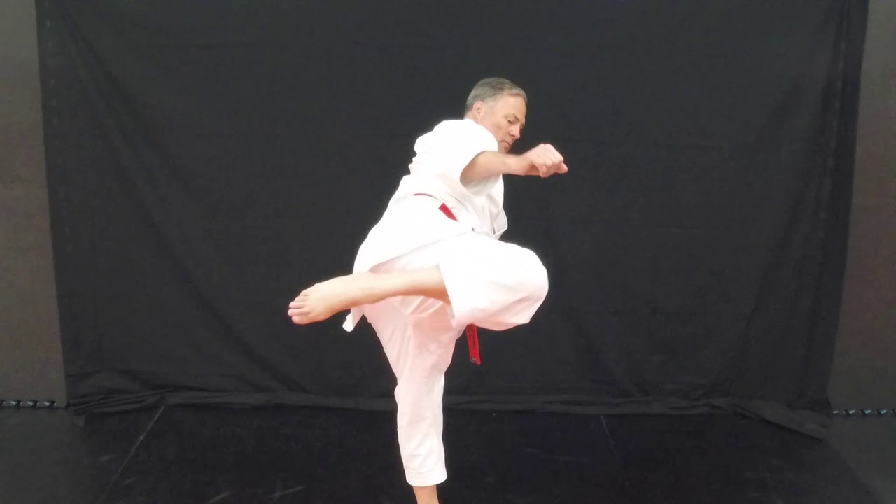 Hiscoe Jiu-Jitsu Roundhouse Kick in Defensive Stance - YouTube