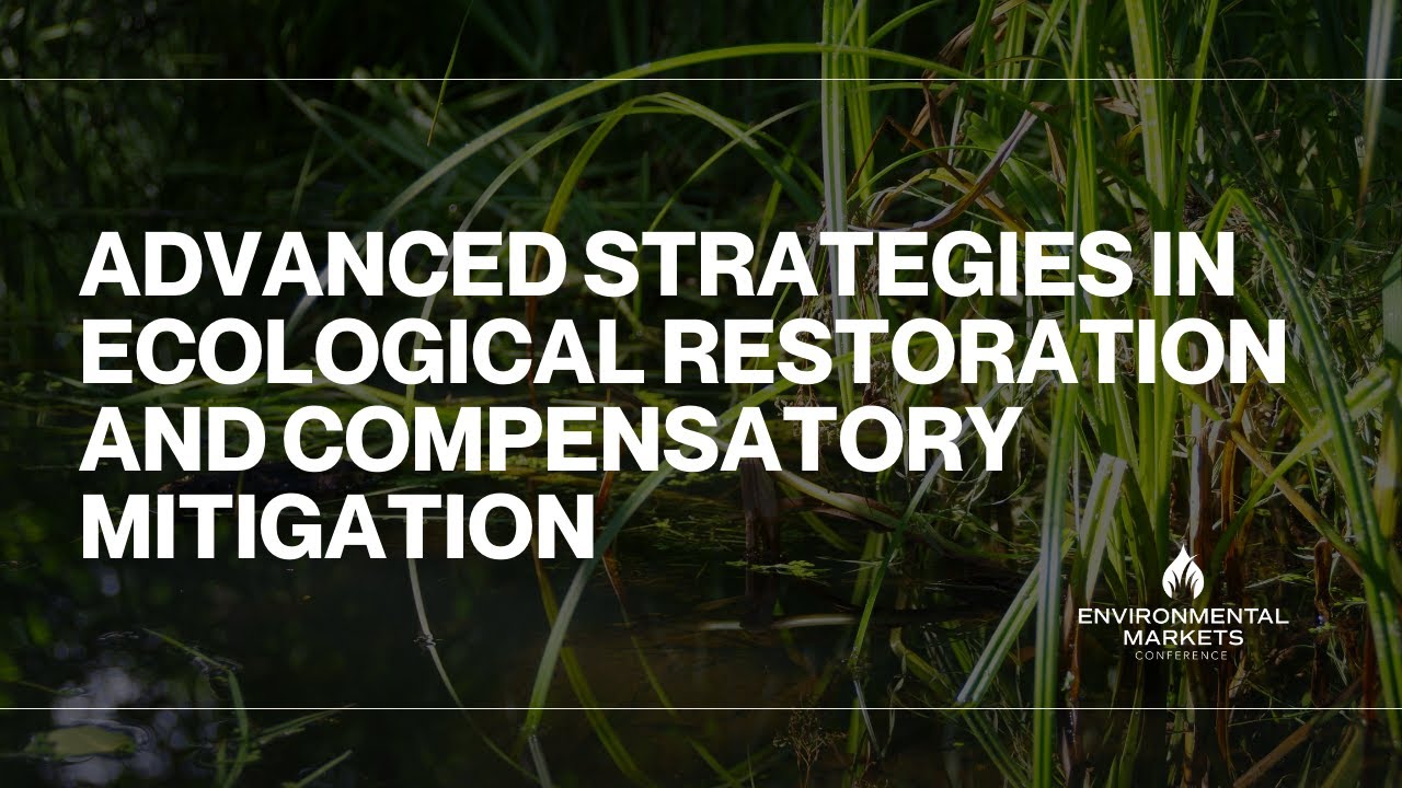 Advanced Strategies in Ecological Restoration and Compensatory ...