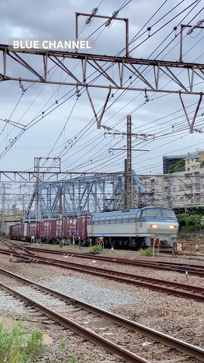 (貨物列車) 2024/05/26 2066レ EF66-125 + コキ26B (百済タ〜腰越タ) #Shorts - YouTube