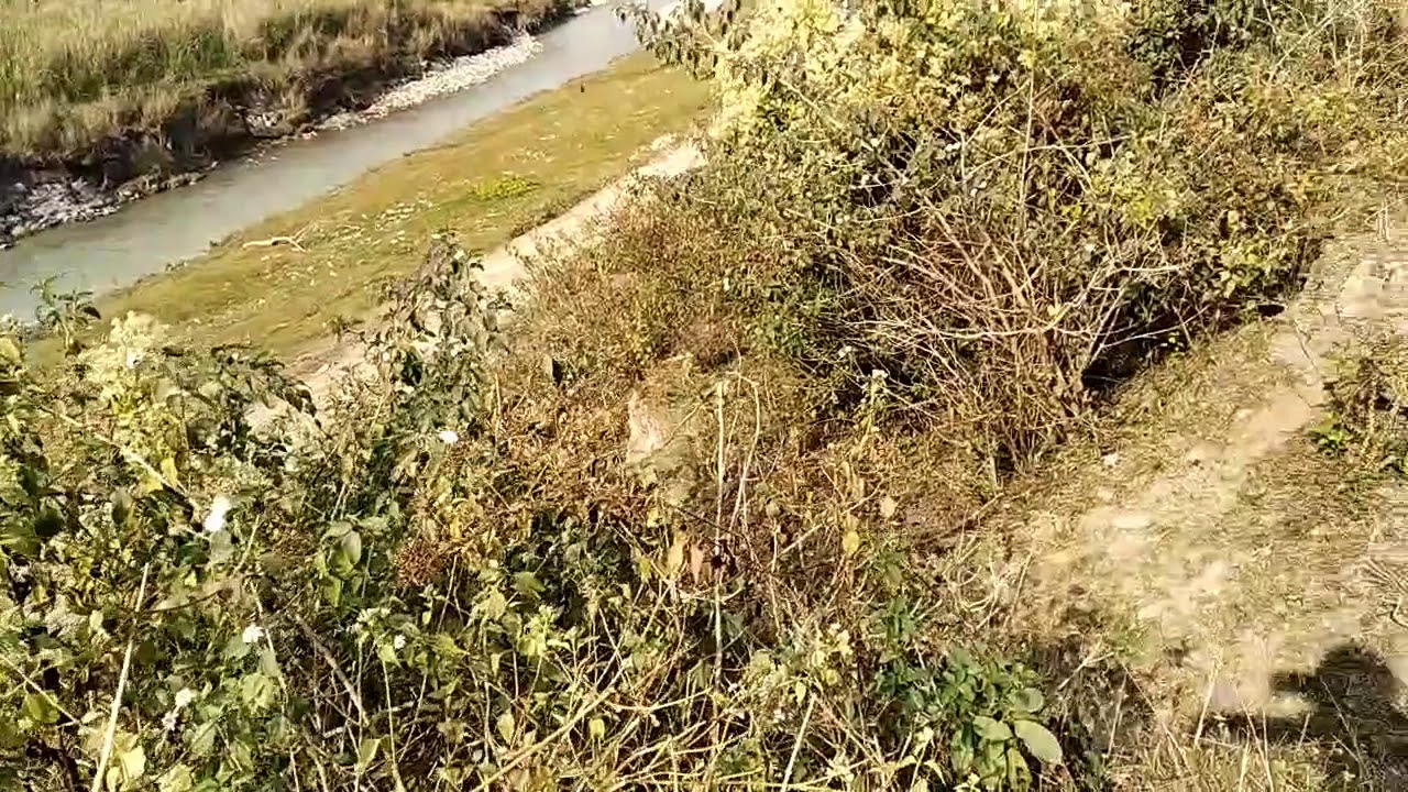 Sekmai River - YouTube