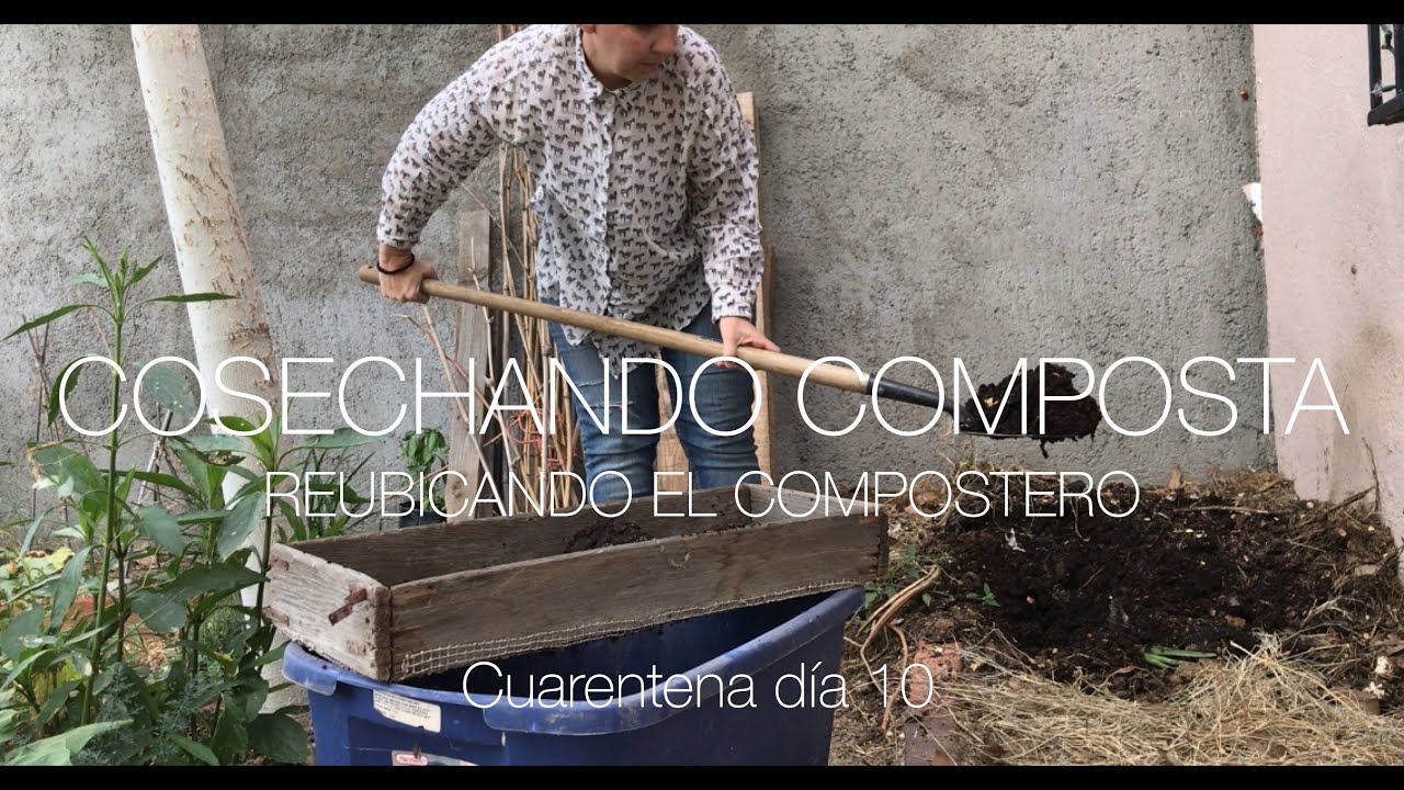 COSECHANDO COMPOSTA | reubicando el compostero - YouTube