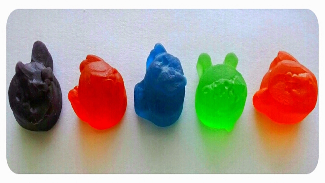 GUMMY BIRD Live Stream - YouTube