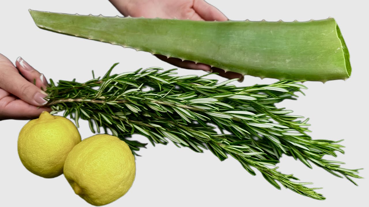 Aloe Vera ist 150 mal stärker als Knoblauch und Zitrone! Entfernt ...