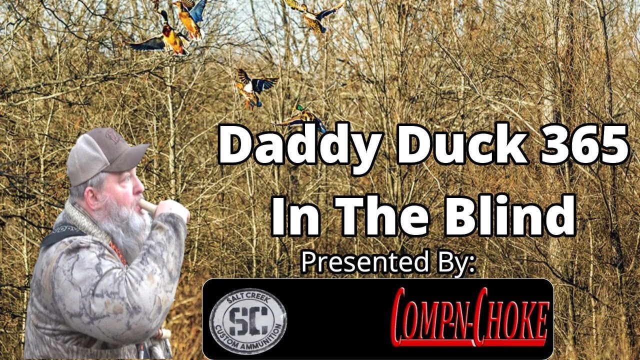 Daddy Duck 365 In The Blind - YouTube