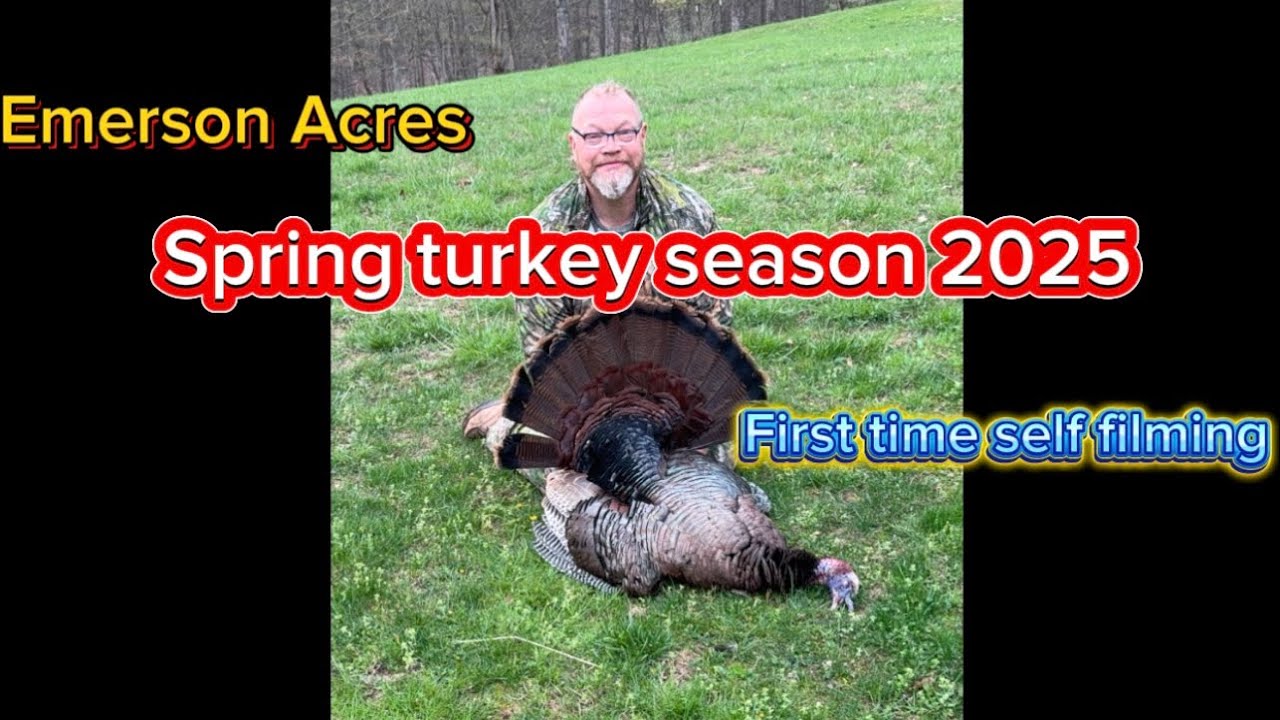 Turkeys everywhere!! West Virginia spring turkey season 2025 - YouTube