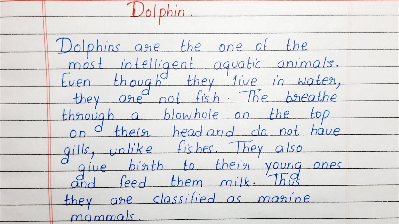 Write a short essay on Dolphins | English - YouTube
