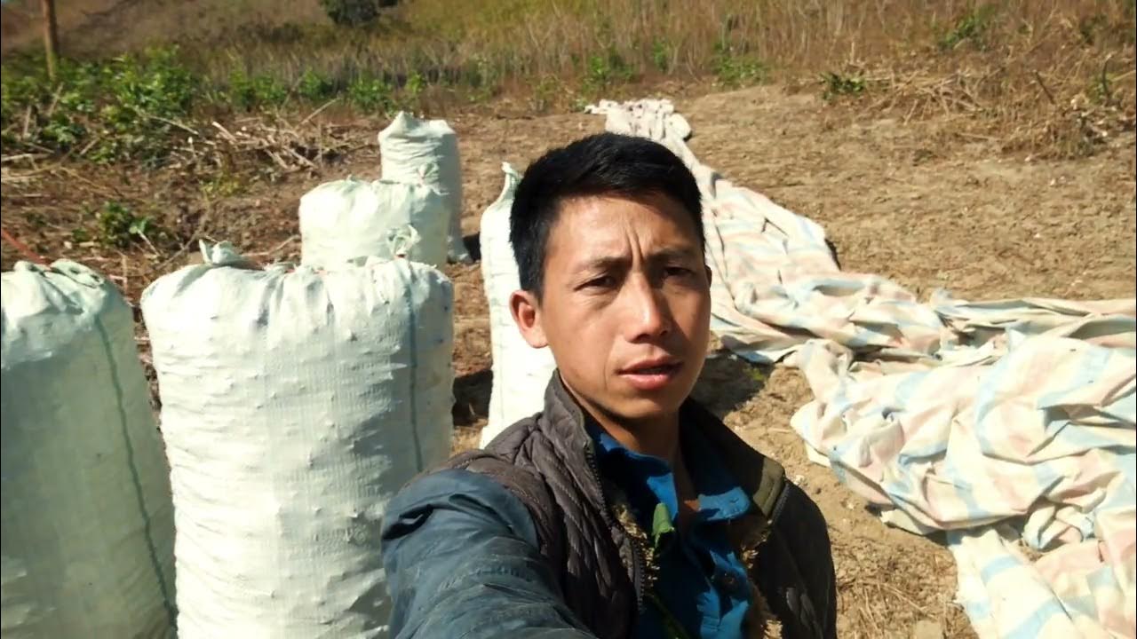 Pab Txiv Hluas yawm tau 18 hnab Qos - YouTube