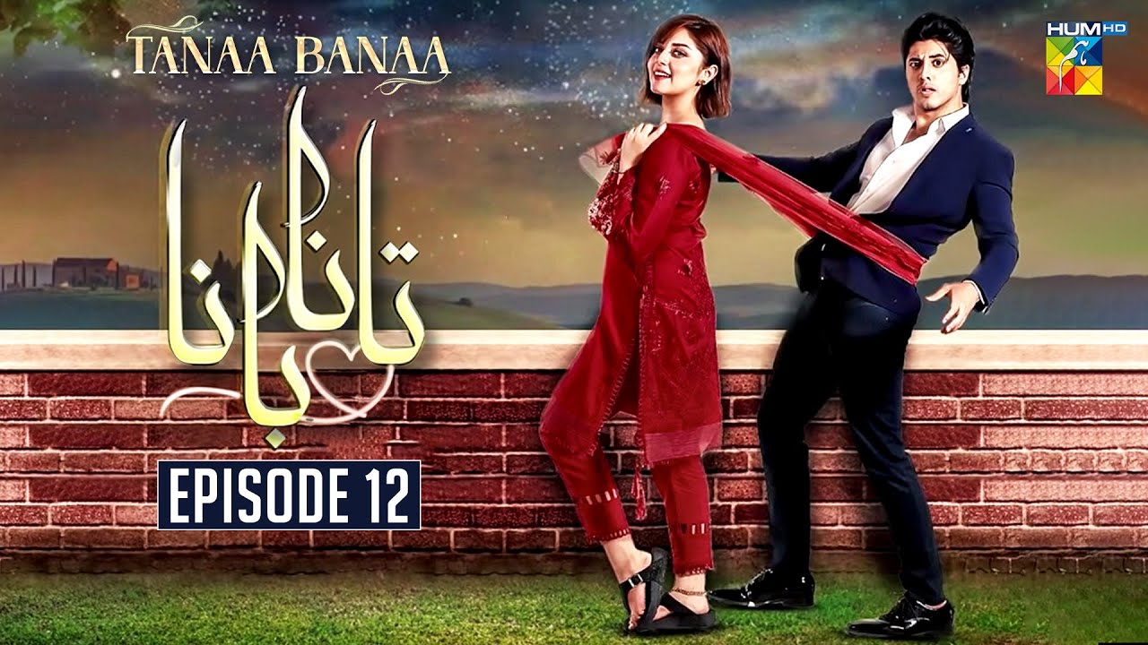 Tanaa Banaa | Episode 12 [DanyalZafar, AlizehShah] HUM TV | Drama - YouTube