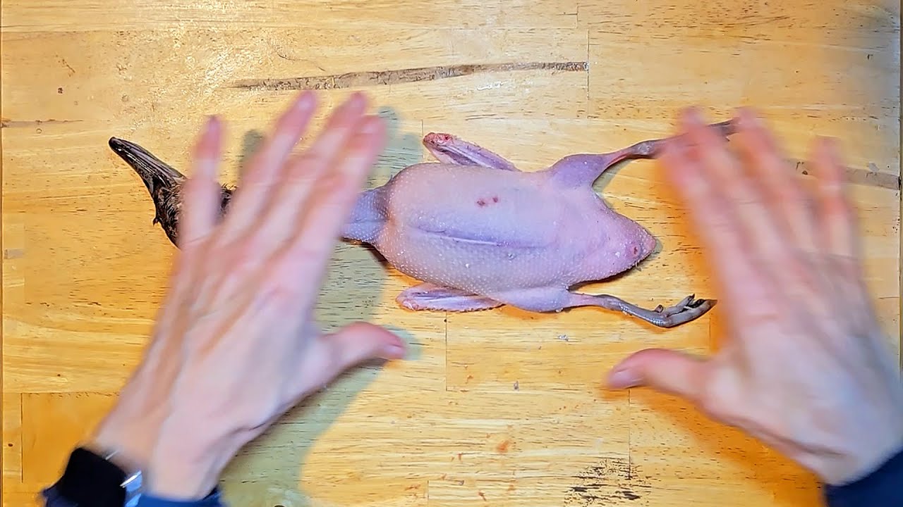 How to Pluck a Duck with Wax - YouTube