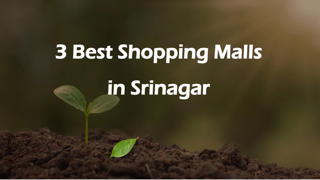 3 Best Shopping malls in Srinagar, Jammu and Kashmir 2025 | Shopping ...