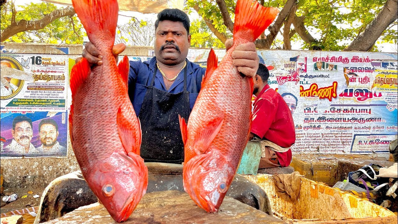FRESH SNAPPER AND KANNADI PAAREI FISH CUTTING IN KASIMADUSELVAM - YouTube