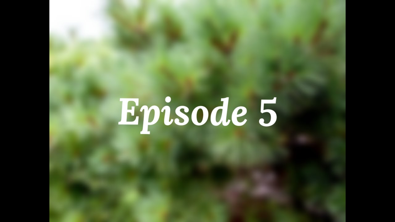 Episode 5: Joe Bedgood - YouTube