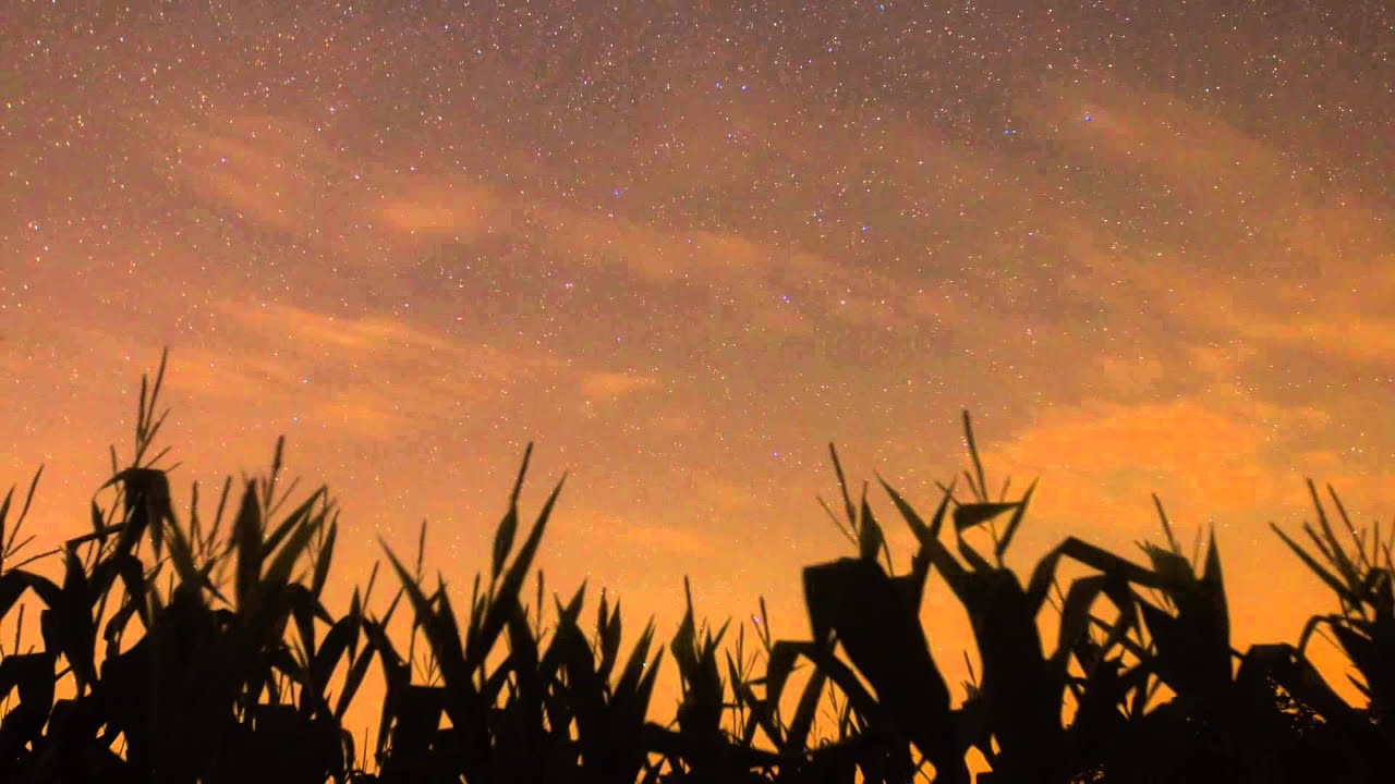Corn Time Lapse - YouTube