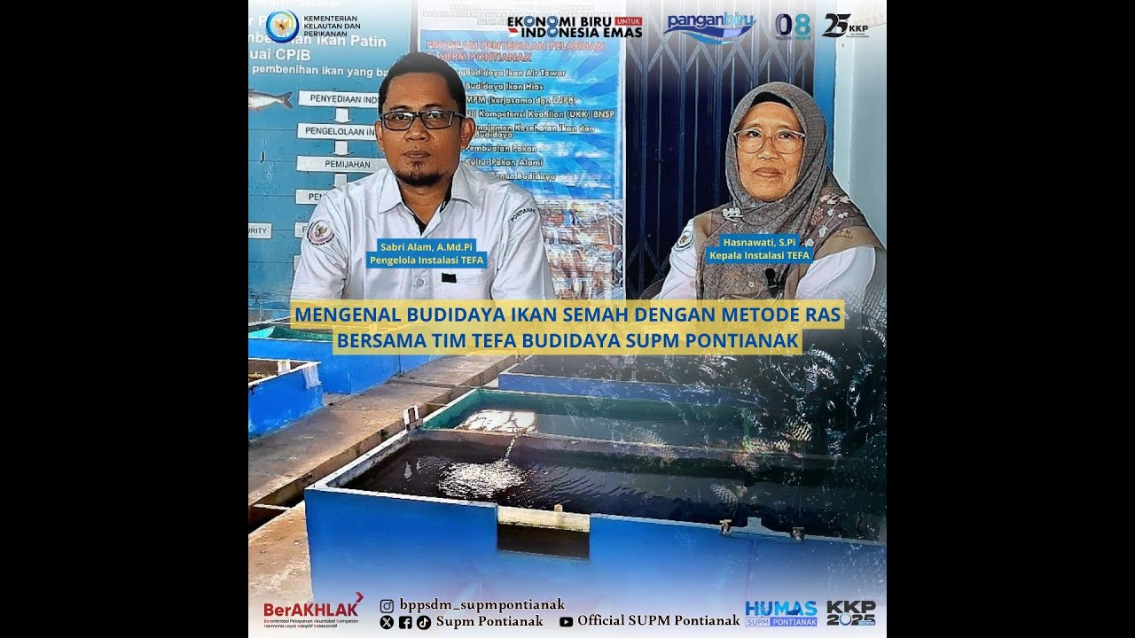 SOS (SEPUTAR OBROLAN SUPM) - IKAN SEMAH PRIMA DONA YANG HAMPIR LANGKA ...