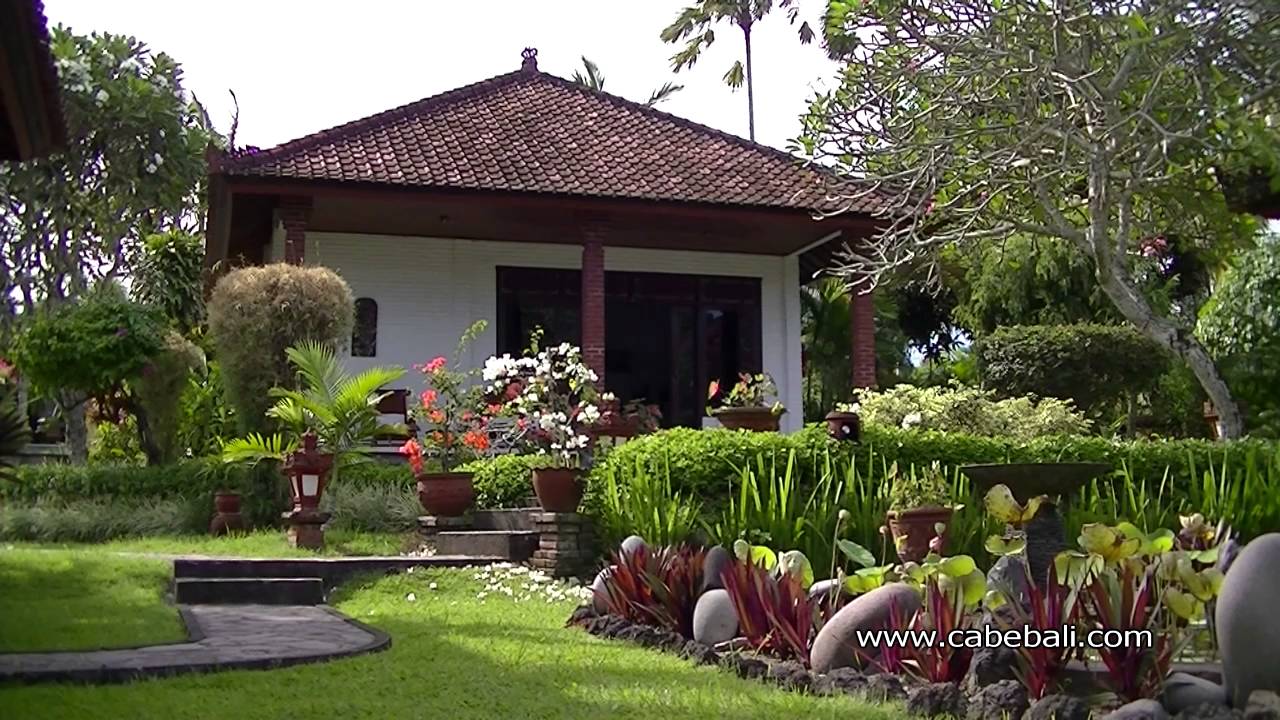 Cabe Bali Bungalows - YouTube