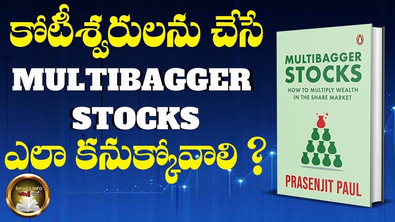 Multibagger Stocks by Prasenjit Paul Book Summary | Multibagger stocks ...