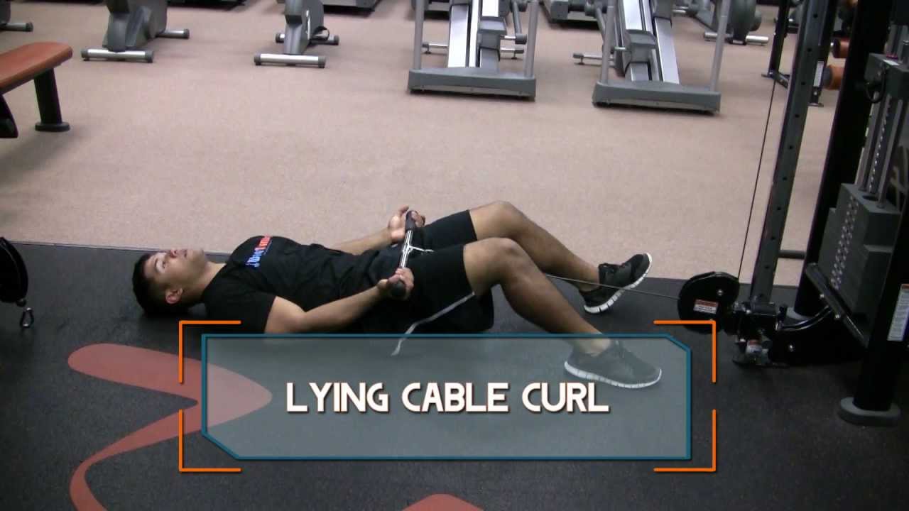Lying Cable Curls