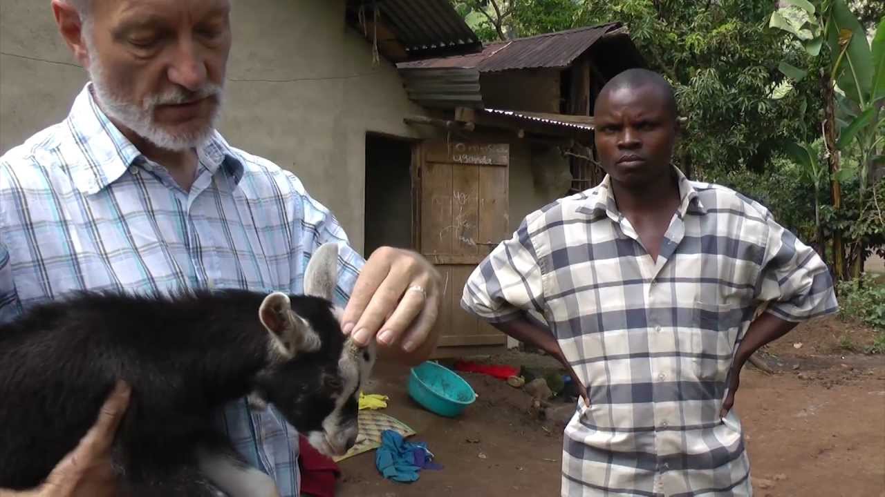 Examples of Goat Breed Characteristics - JOY Goat Development Programme ...