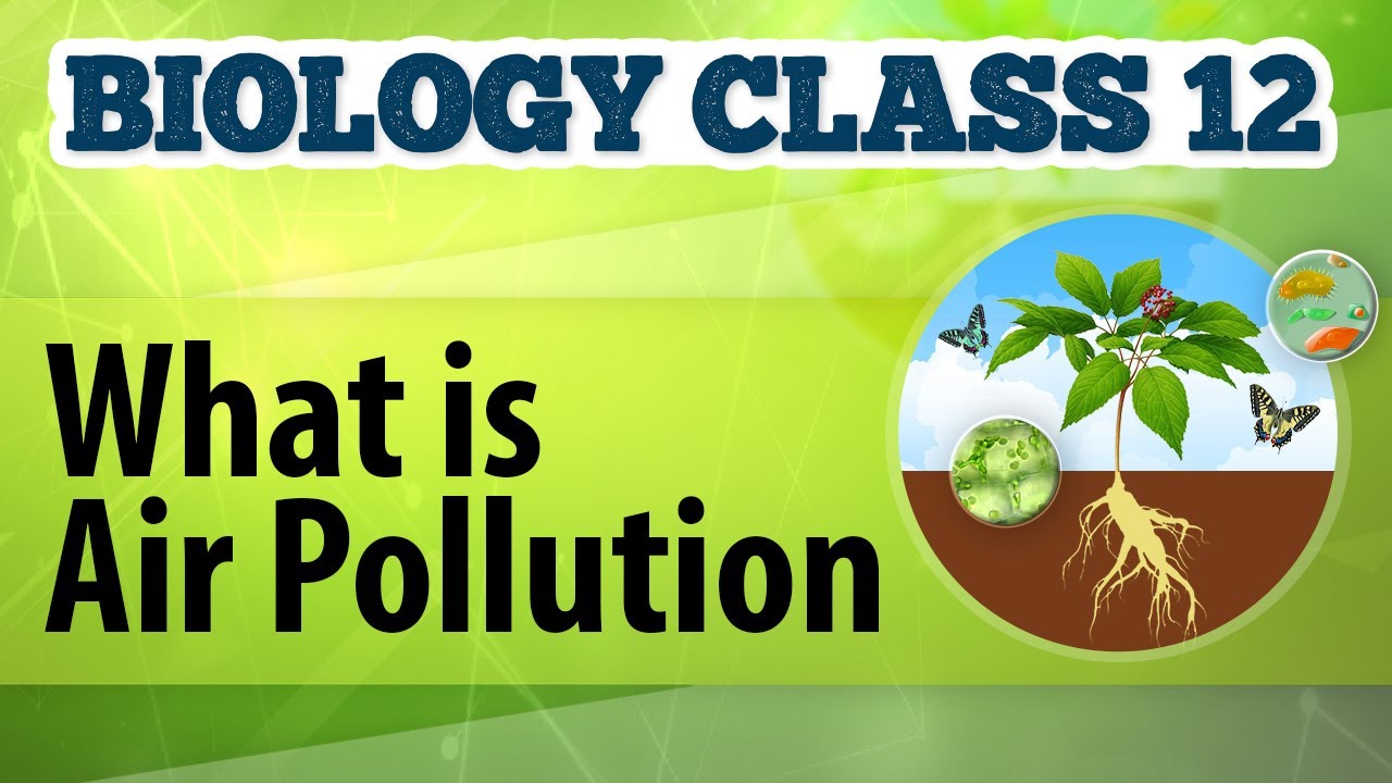 What Is Air Pollution - Organisms and Environment 2 - Biology Class 12 ...