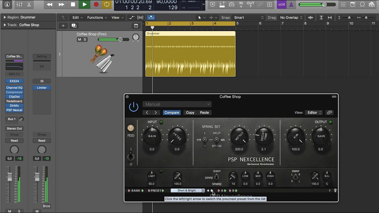 PSP Nexcellence Spring Reverb Plug-in, Twisting Knobs (No Talking ...