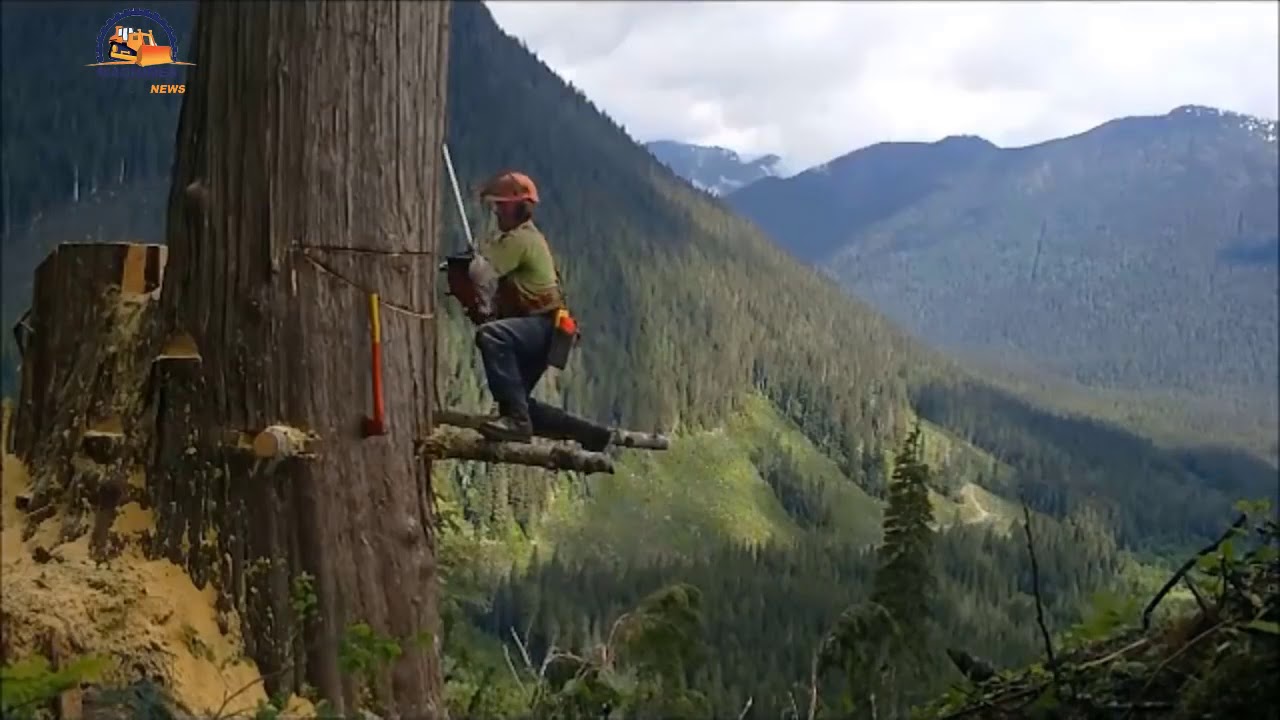Amazing Dangerous Skills Fastest Tree Felling, Heavy Biggest Tree ...