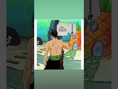 zoro getting lost meme - YouTube