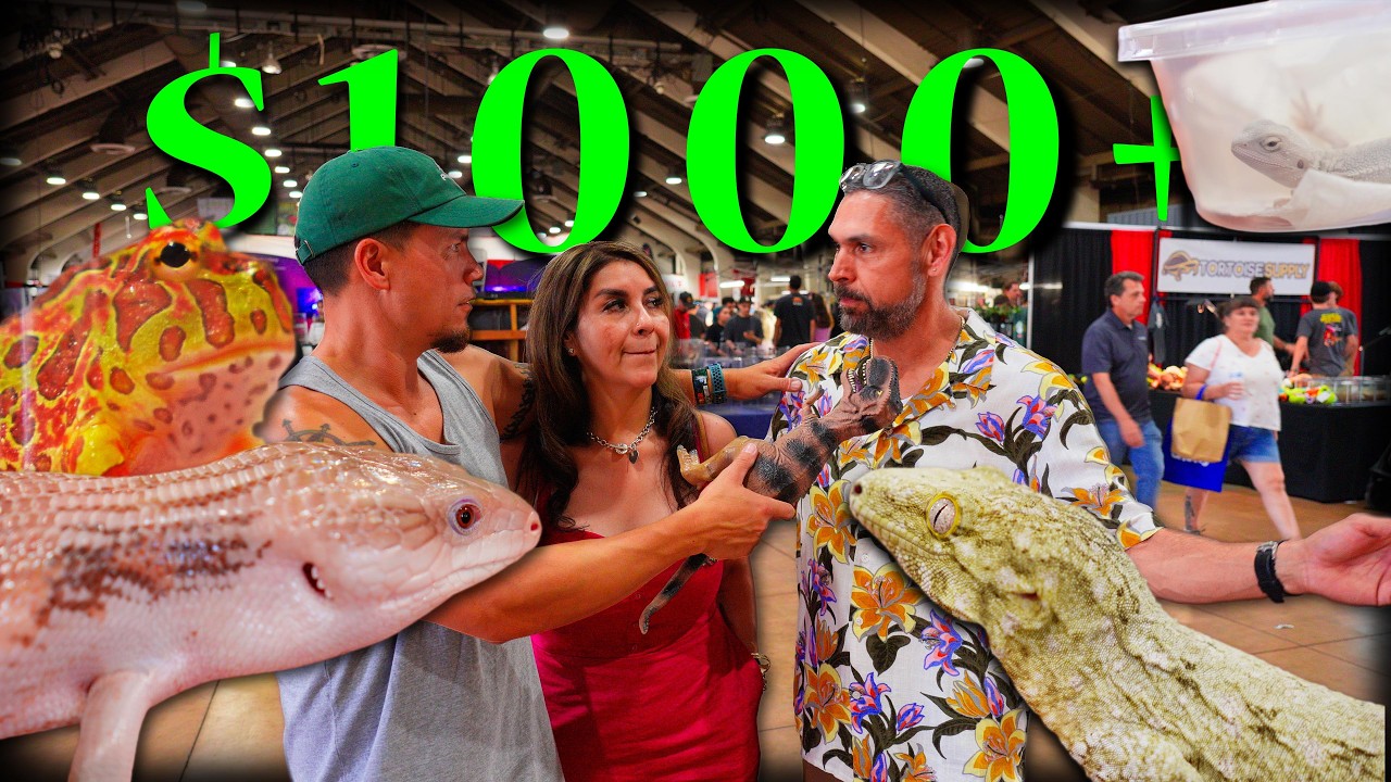 How Much are people PAYING for Animals at the Reptile Super Show in ...