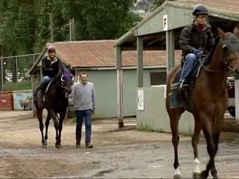 Amazing story of jockey Richard Hamel/Legends of Swaps - YouTube