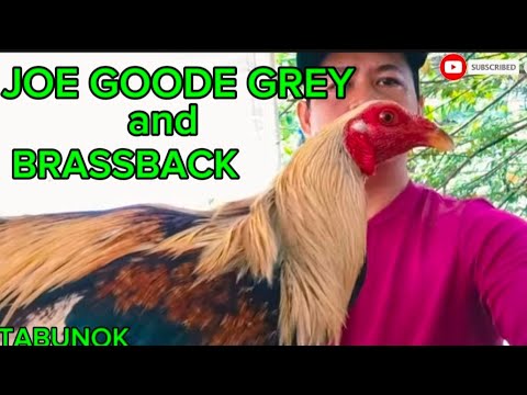 JOE GOODE GREY AND BRASSBACK JANUARY -30-2025 - YouTube