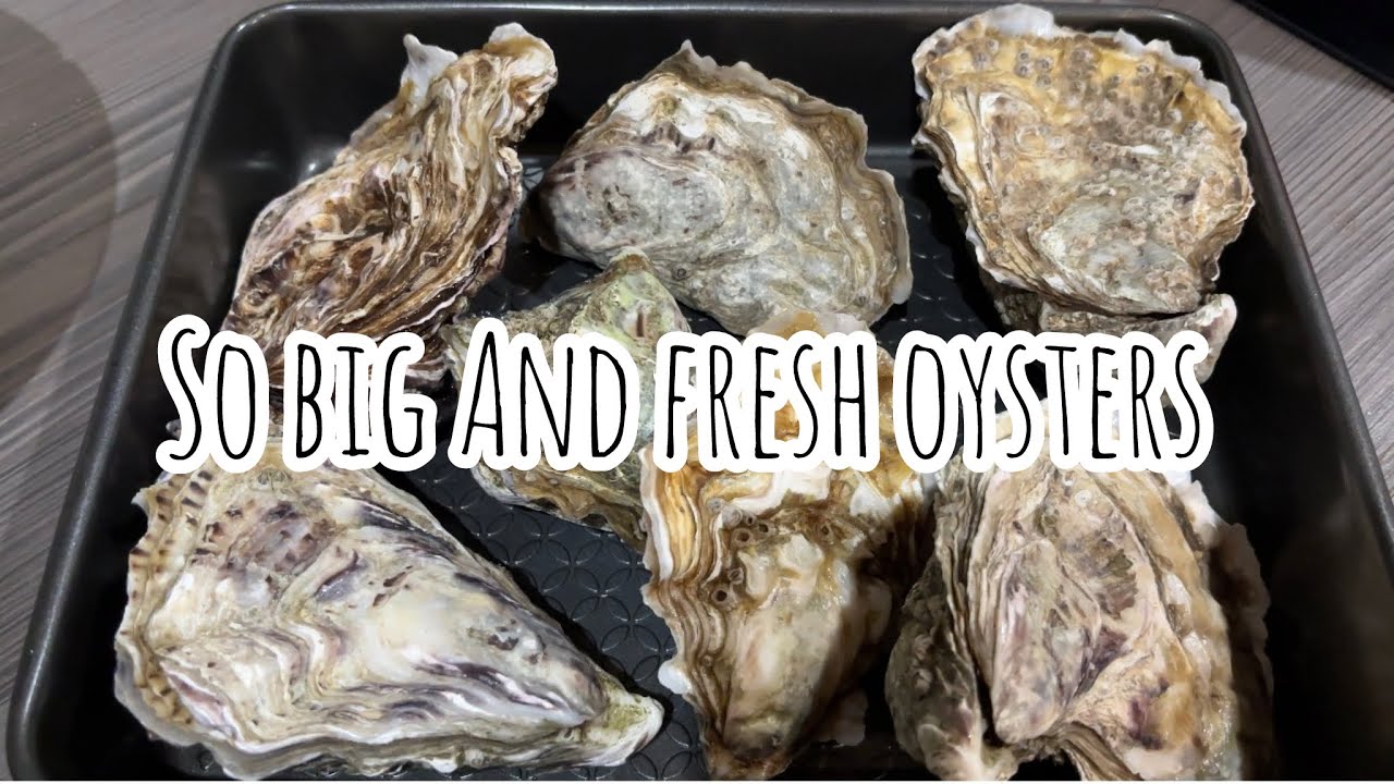SO BIG AND FRESH OYSTERS - YouTube