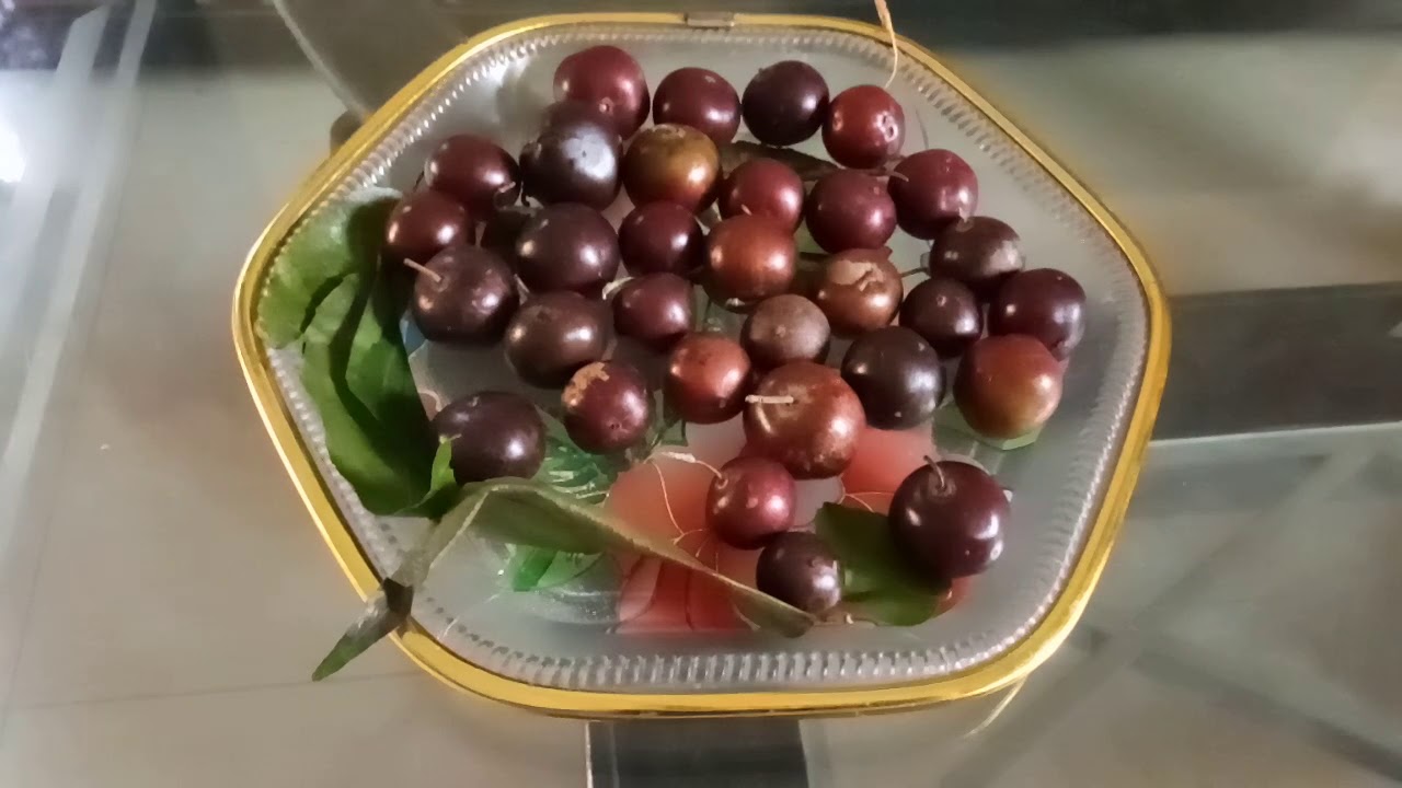 Poetry on Paniala fruit.written by Dr.Shariq - YouTube