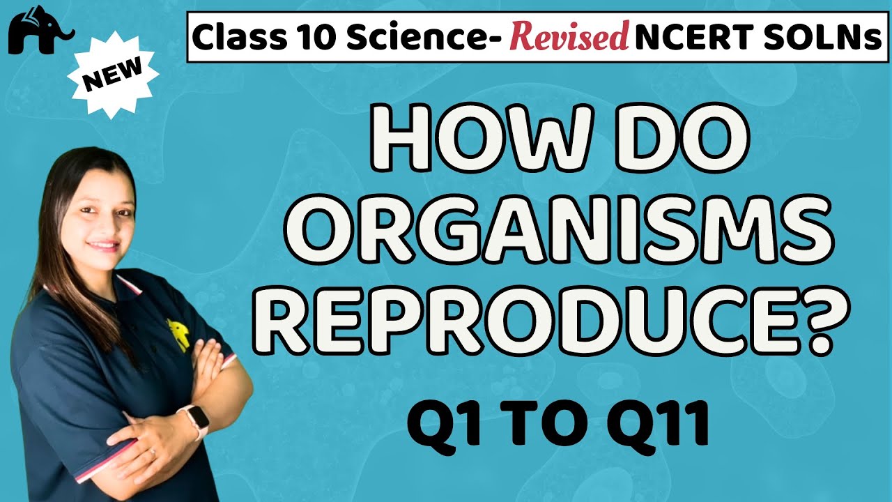 How Do Organisms Reproduce Class 10 Science | Revised NCERT Solutions ...