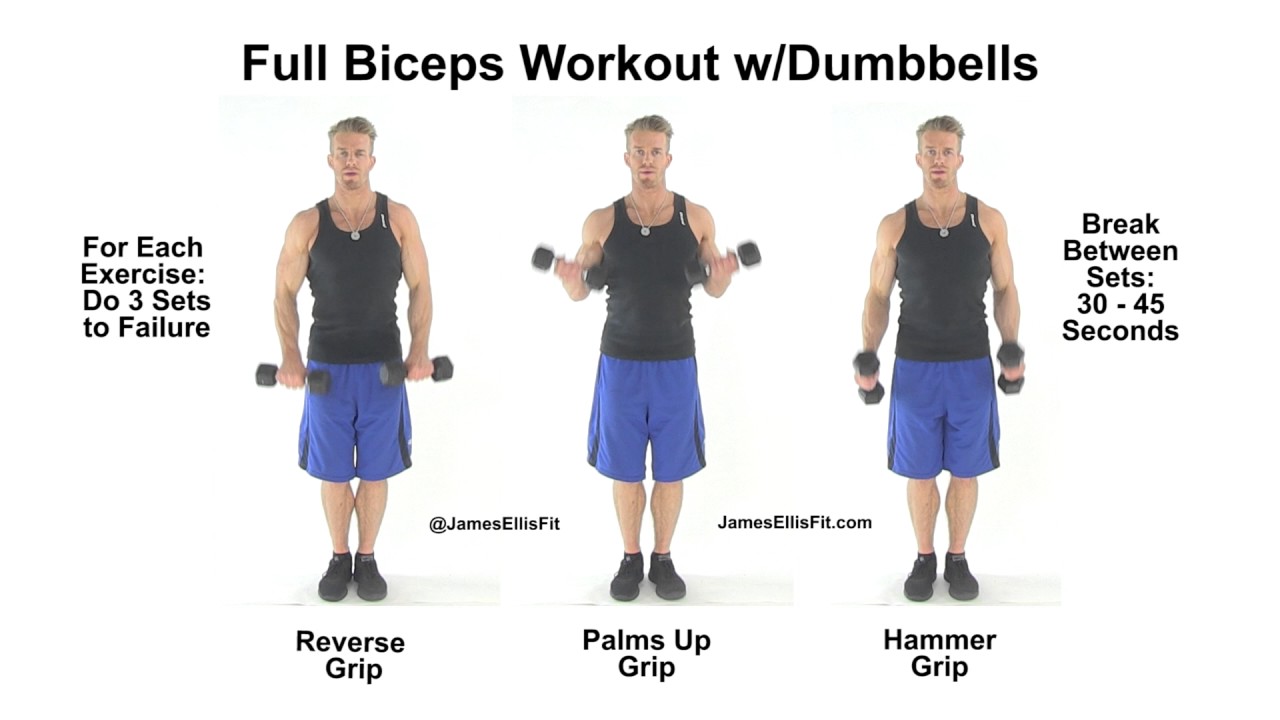 COMPLETE Biceps Workout Using Dumbbells YouTube