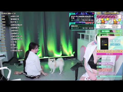 BJ 퀸다미 (damikim)  BJ 쭈디♡judy (duswn8243🔥 sooplive - AfreecaTV KoreanBj Fable