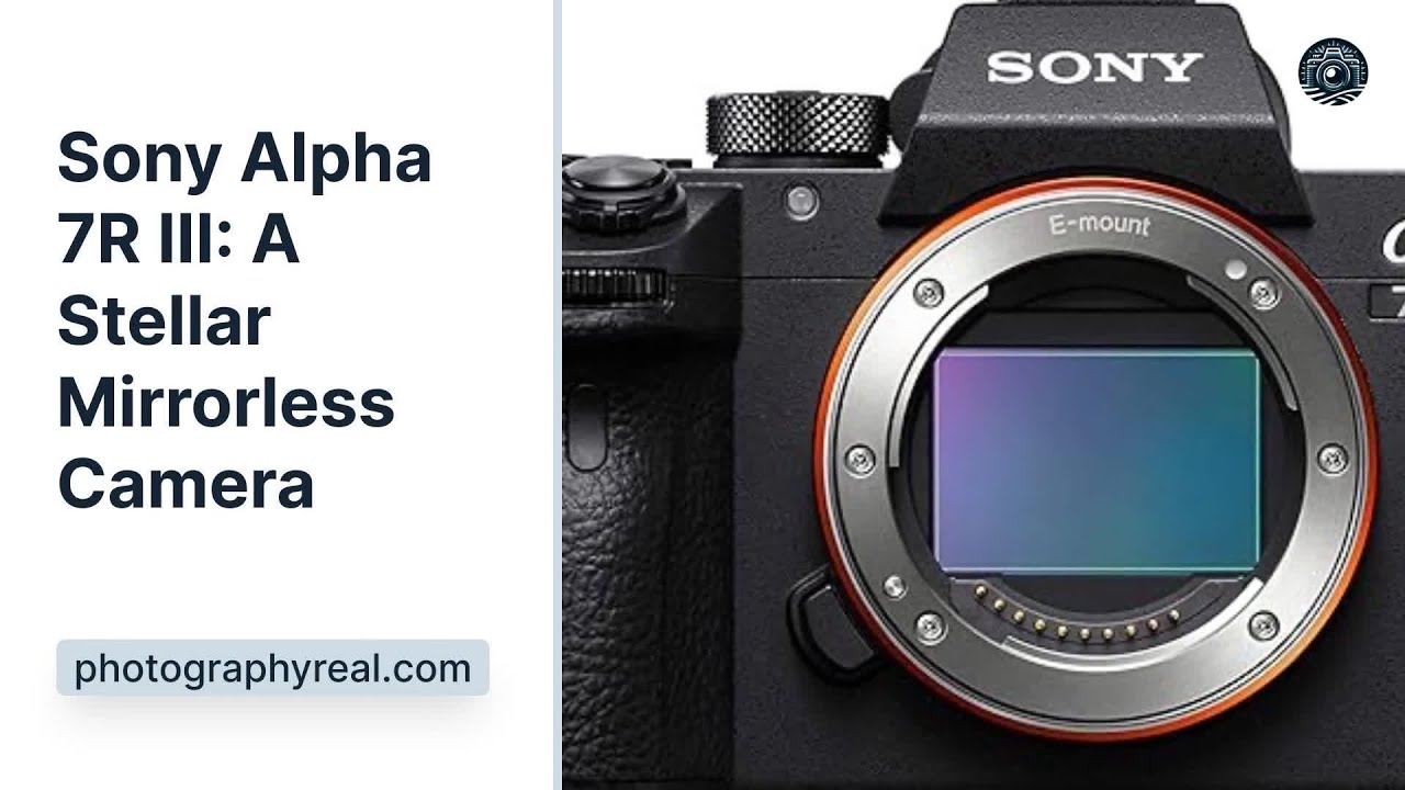Sony Alpha 7R III Review: A Stellar Mirrorless Camera #SonyAlpha7RIII ...