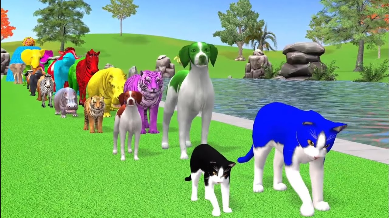 @Cartoon_video_07RP Long Slide Game With Elephant Gorilla Buffalo ...