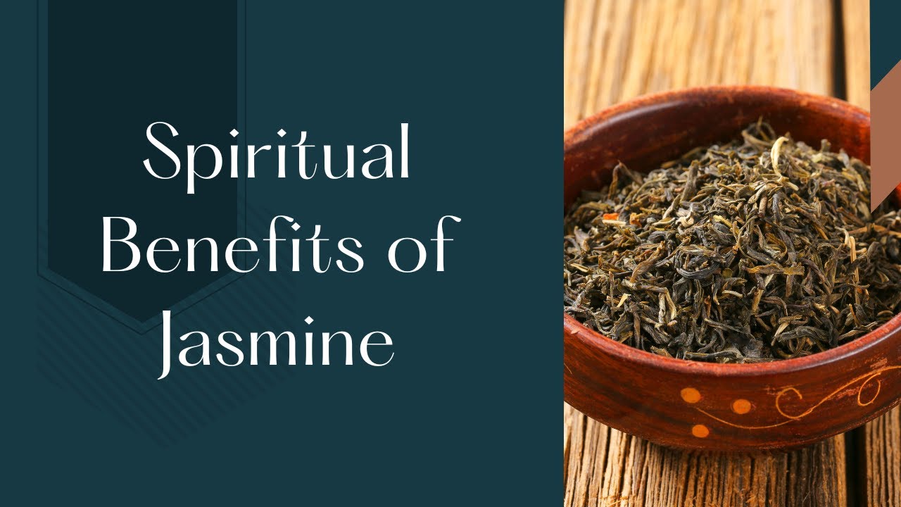 Spiritual Benefits Of Jasmine - YouTube