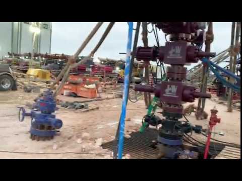 The Frac Trees - YouTube