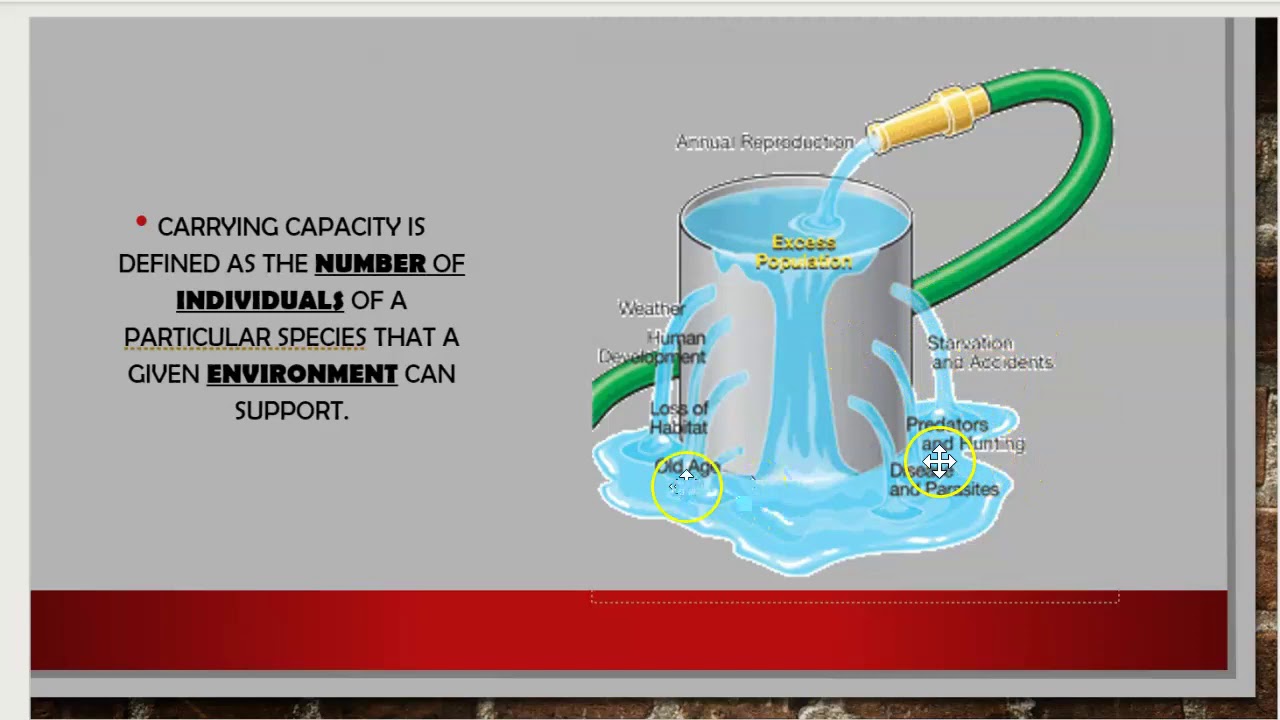 What is Geographic Perspective? - YouTube
