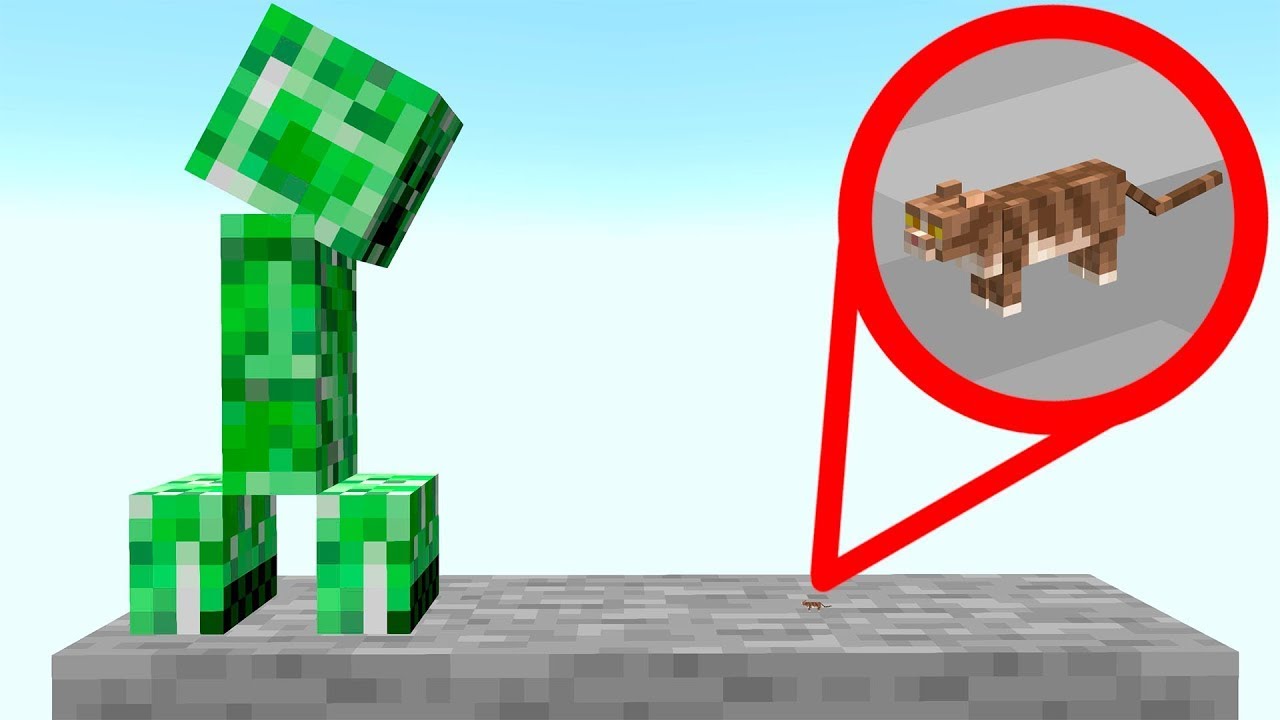 1px cat vs creeper - YouTube