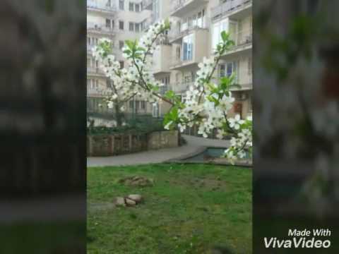 Будапешт