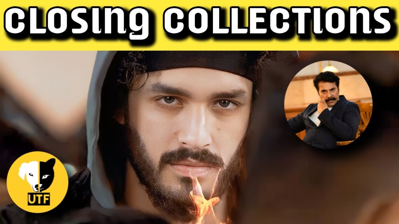 AGENT | Total (Closing) Worldwide Box Office Collections | Akhil ...