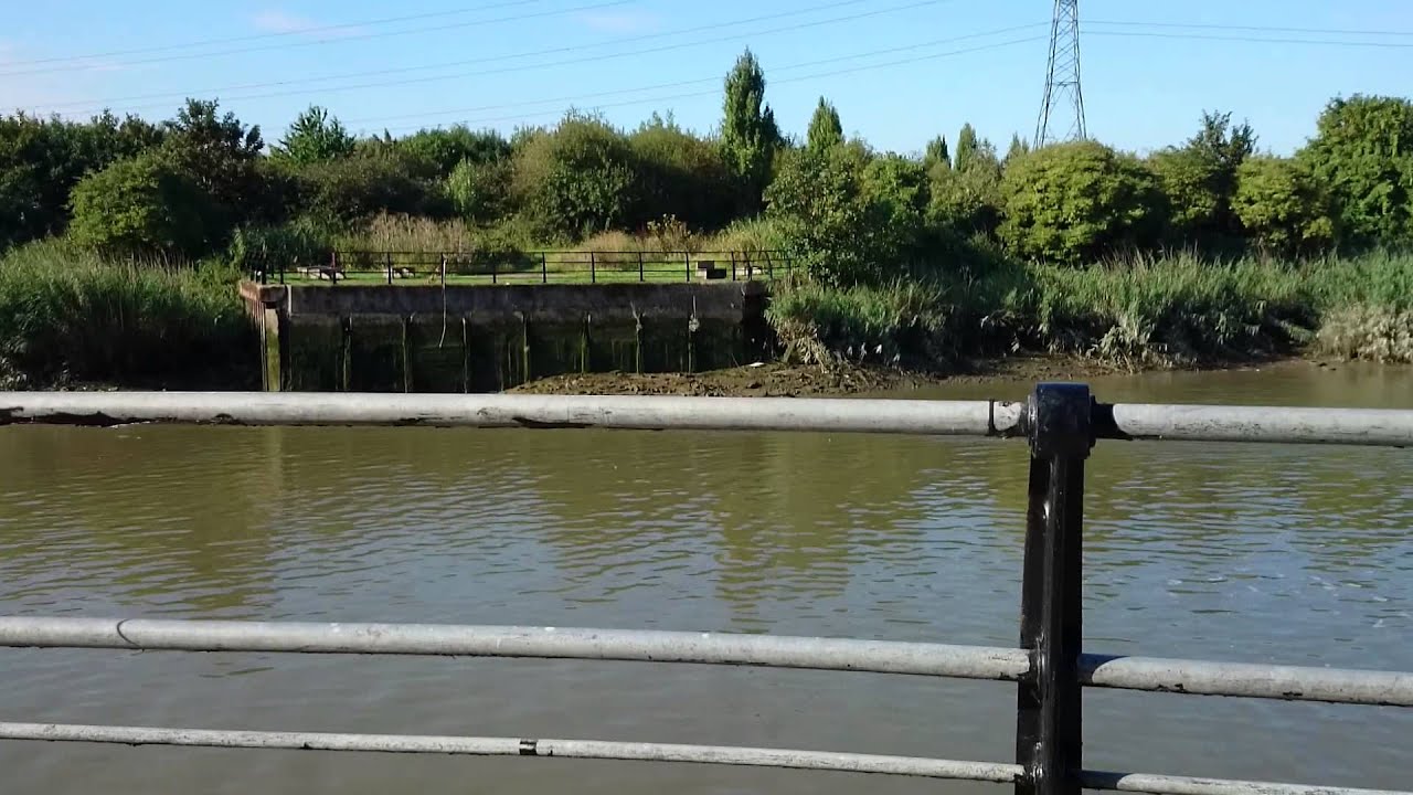 Fishing at Roding River near Barking Creek - YouTube