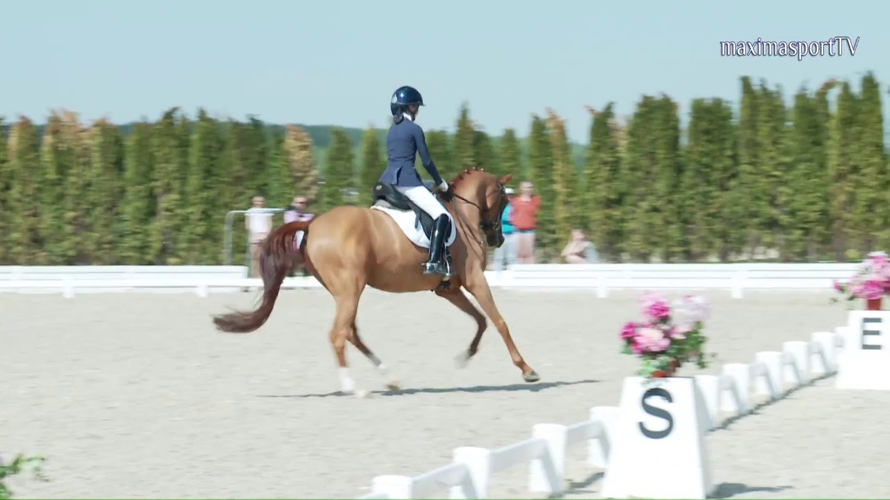 REPRISE DE DRESSAGE | Reprise Amateur 3 : Commentées par Isabelle Judet ...